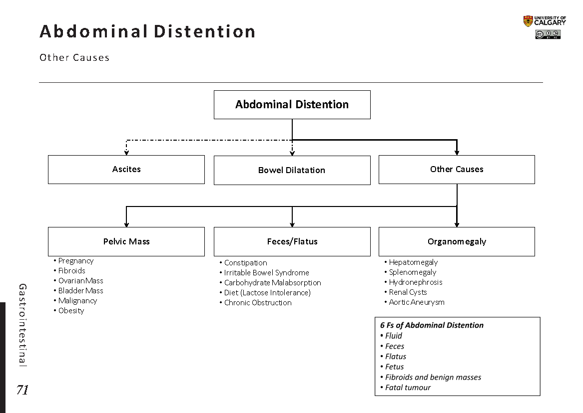 ABDOMINAL DISTENTION: Other Causes - Blackbook : Blackbook