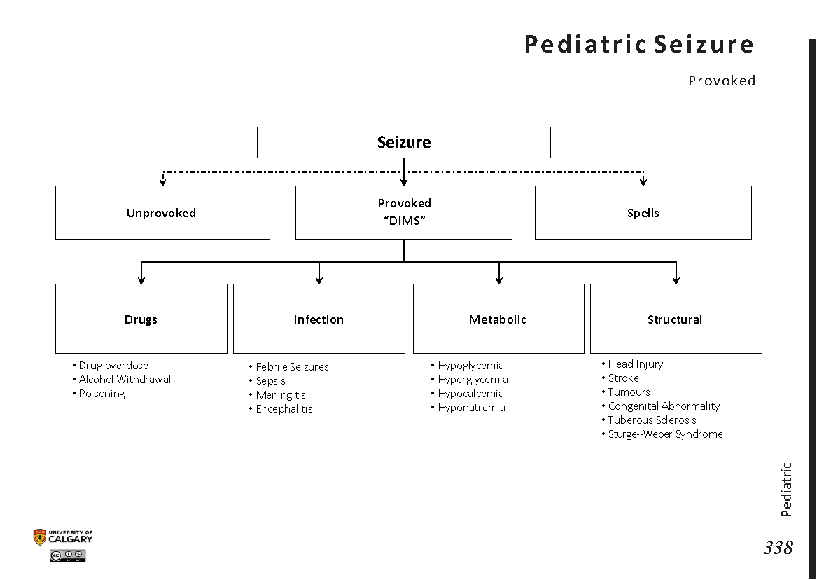 PEDIATRIC SEIZURE: Provoked - Blackbook : Blackbook