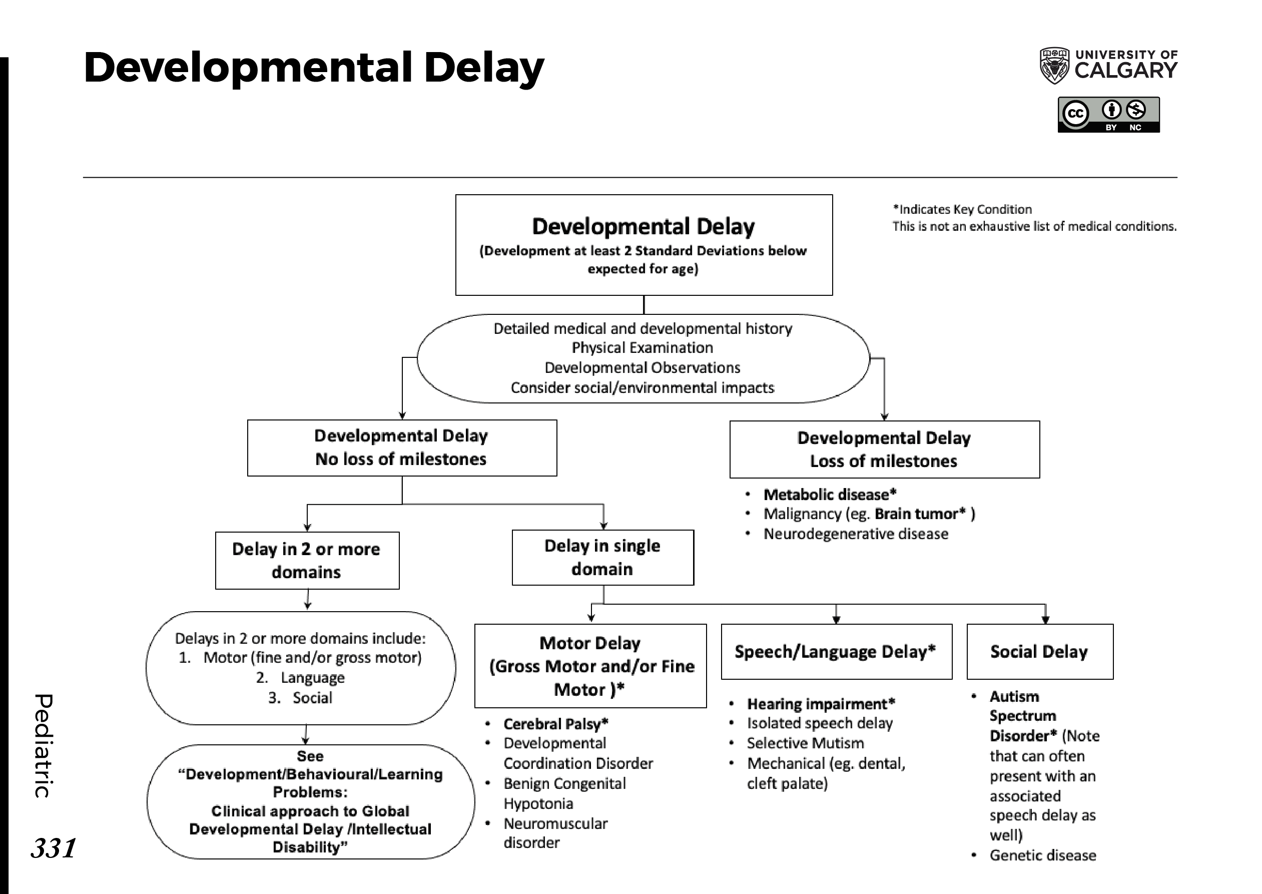 DEVELOPMENTAL DELAY Blackbook Blackbook